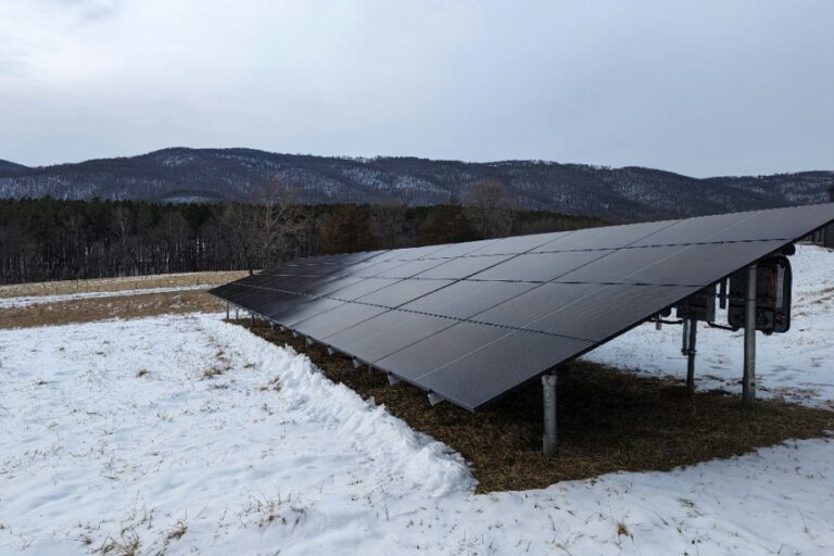 Types of Solar Panels: Understanding Efficiency and Making the Right Choice